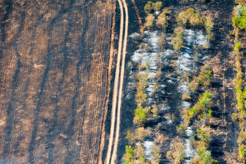 Scorched Trees and Grass after the Fire. Aerial View Stock Photo ...