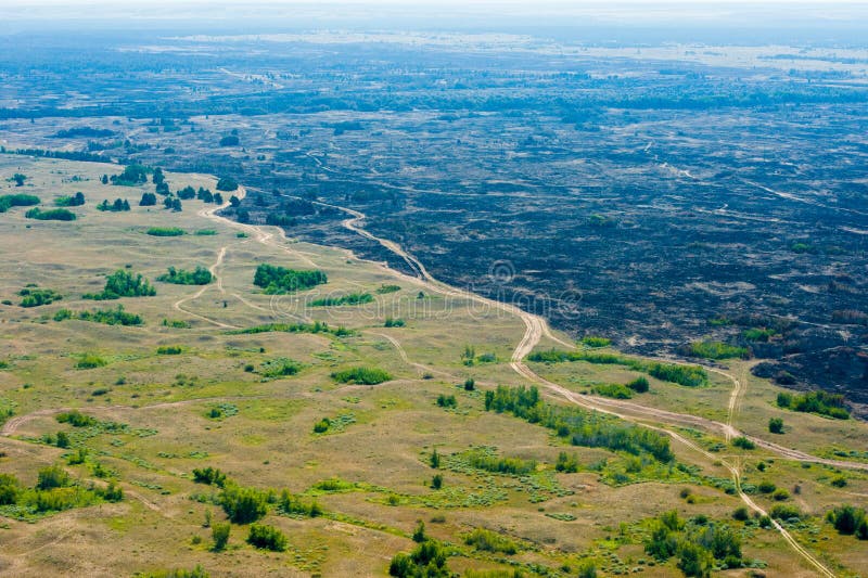 Scorched Trees and Grass after the Fire. Aerial View Stock Image ...