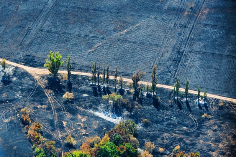 Scorched Trees and Grass after the Fire. Aerial View Stock Image ...