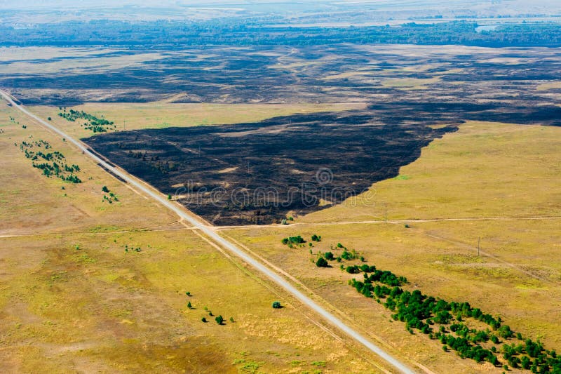 Scorched Trees and Grass after the Fire. Aerial View Stock Image ...