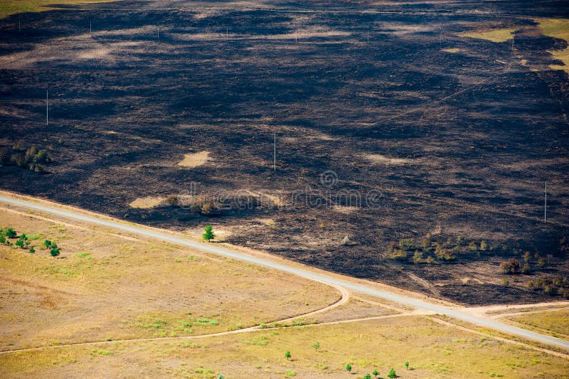 Scorched Trees and Grass after the Fire. Aerial View Stock Photo ...