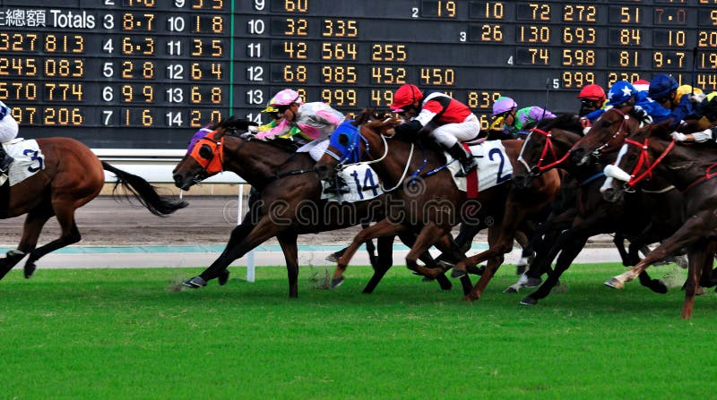 Score Board of Horse Racing Editorial Image - Image of club, speed ...