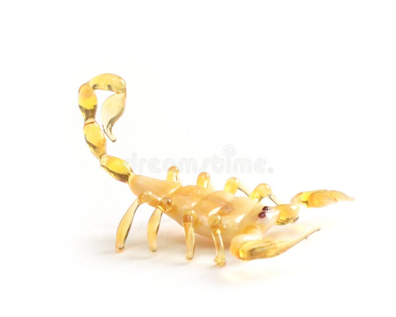 Scorpio stock image. Image of evil, isolated, danger - 12342647