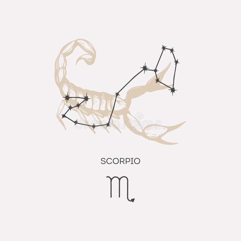 Scorpio Constellation Vector Illustration Stock Vector - Illustration ...