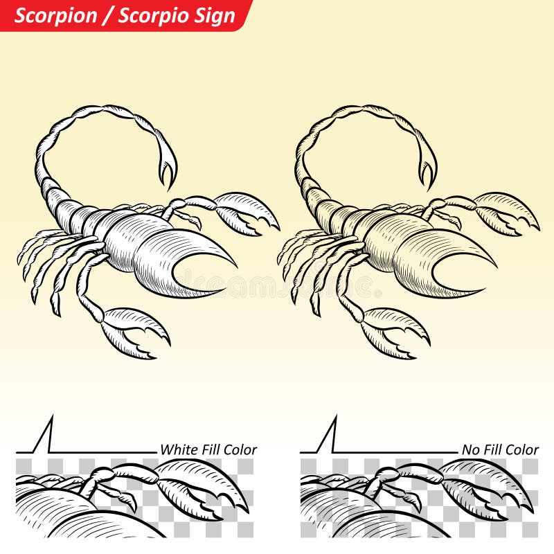 Scorpio Zodiac Star Sign Sketch Stock Vector - Illustration of scorpio ...