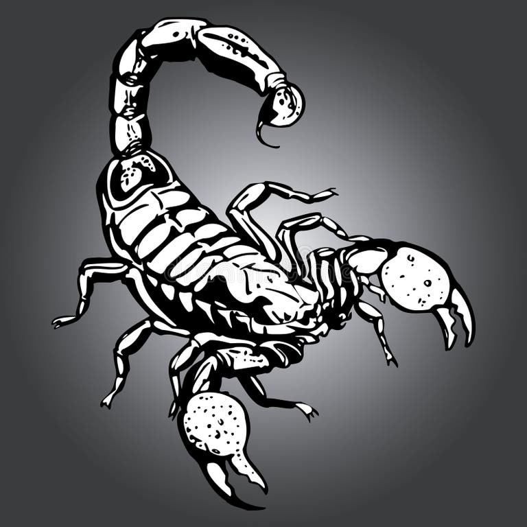 Scorpion Claws Stock Illustrations – 1,280 Scorpion Claws Stock ...