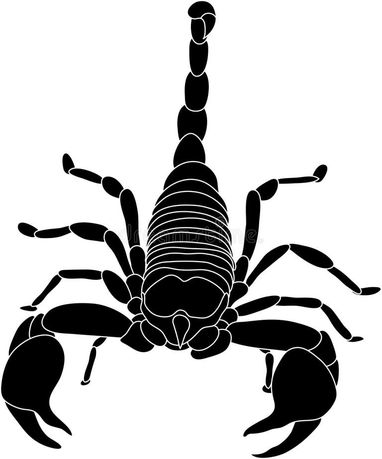 Scary Scorpion Stock Illustrations – 525 Scary Scorpion Stock ...