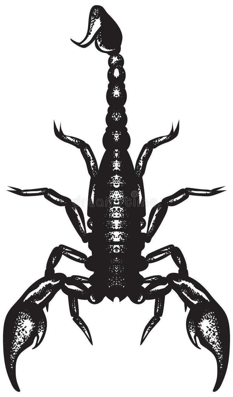 Scorpion Simple Stock Illustrations – 1,223 Scorpion Simple Stock ...