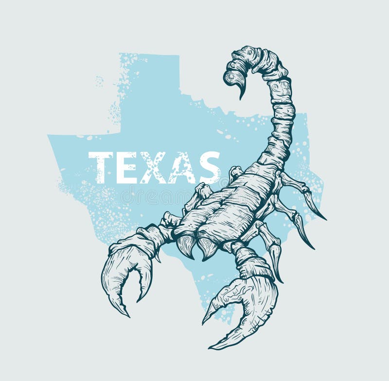 Scorpion Scorpions Stock Illustrations – 394 Scorpion Scorpions Stock ...