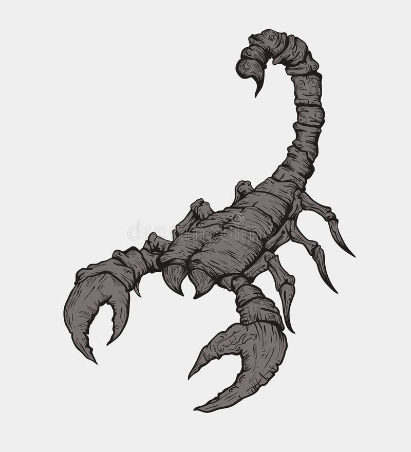 Gray Scorpion Stock Illustrations – 135 Gray Scorpion Stock ...