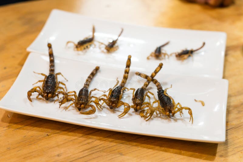 Scorpion meal dish stock photo. Image of bizarre, gourmet - 180848322