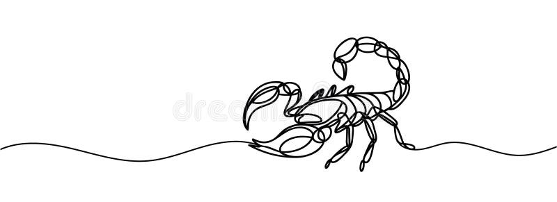 Scorpion One Line Drawing, Sketch, Isolated Vector Stock Vector ...