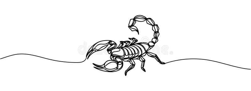 Scorpion One Line Drawing, Sketch, Isolated Vector Stock Vector ...
