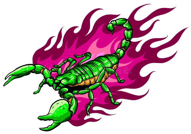 Black Fire Scorpion