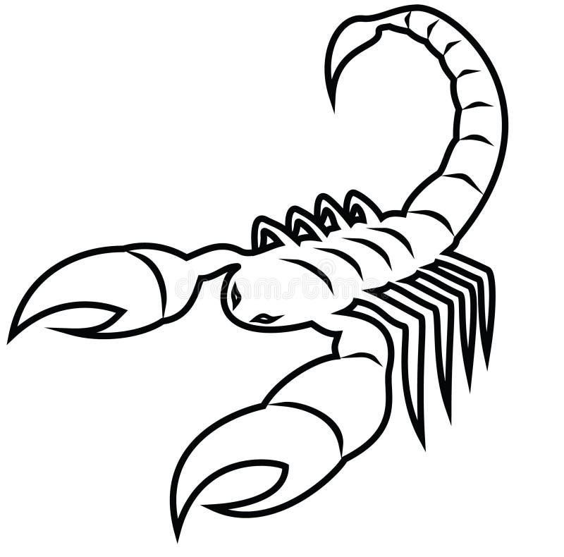 Scorpion Scorpio Zodiac Sign Design Stock Vector - Illustration of ...