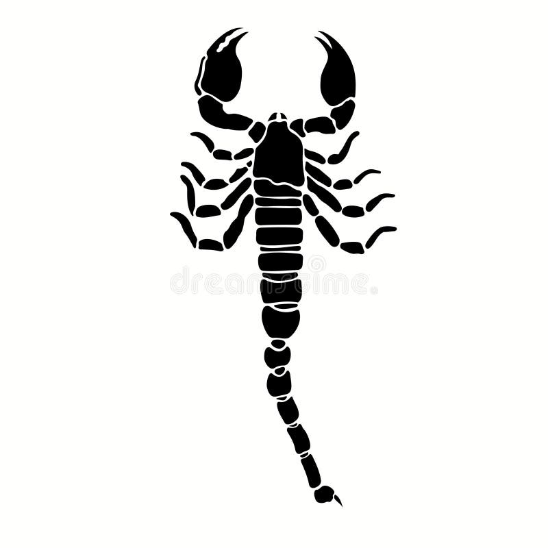 Scorpion Vector Illustrations for Various Designs, Stock Vector ...