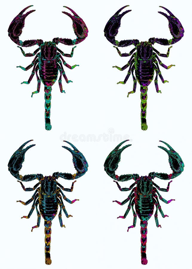 Scorpions are Predatory Arachnids of the Order Scorpiones. Stock ...