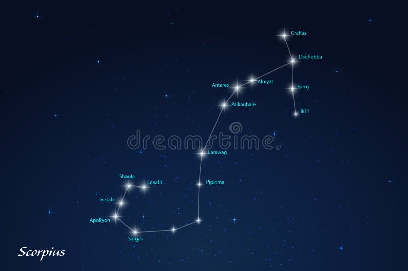 Scorpius Constellation with Star Names in Night Sky Stock Vector ...