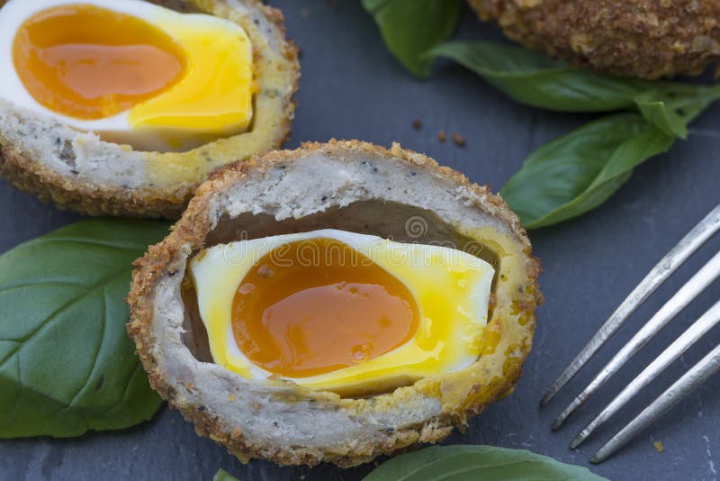 Scotch egg stock image. Image of dairy, basil, portion - 56853441