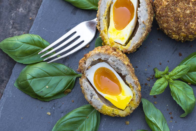 Scotch egg stock image. Image of cooked, breaded, healthy - 56853445