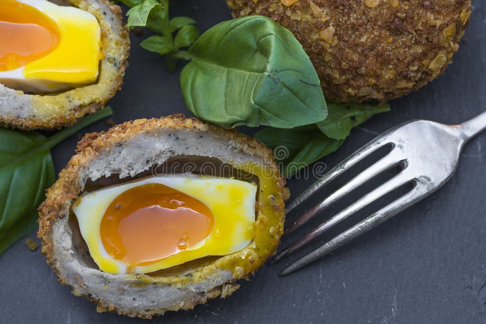 Scotch egg stock image. Image of breakfast, halved, meatball - 56853667