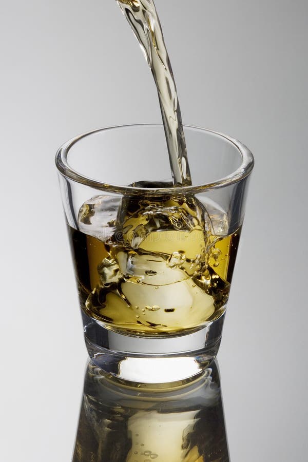 Scotch on the rocks stock photo. Image of cold, charcuterie - 282566424