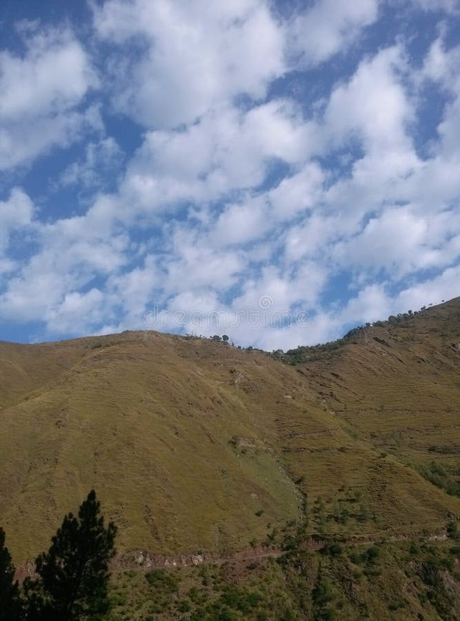 111,638 Scotching张图片-，来自Dreamstime的免费和免版税图片