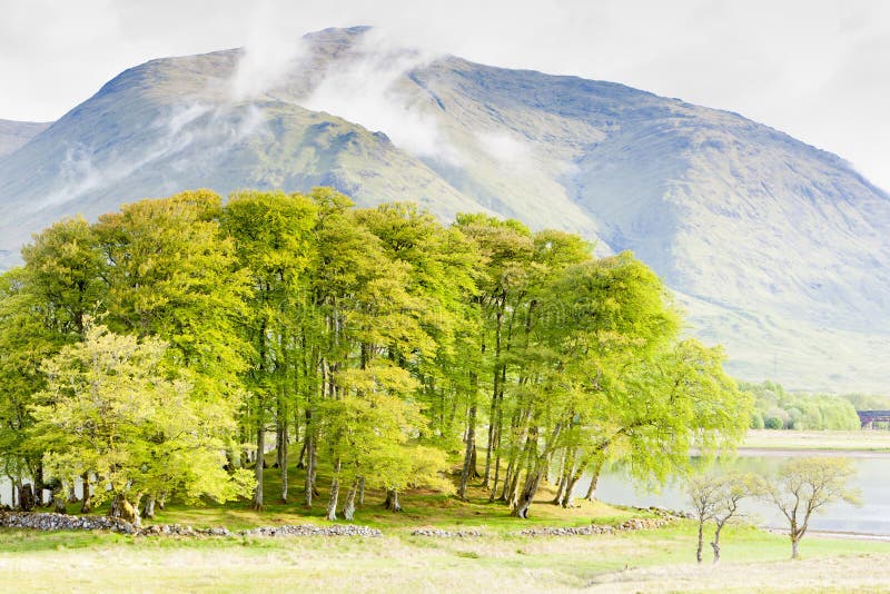 Scottish Highlands stock photo. Image of forest, scenery - 6086692