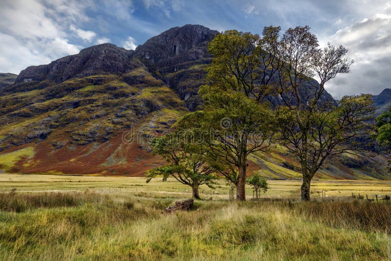 Scotland stock image. Image of field, nature, scotland - 47787039