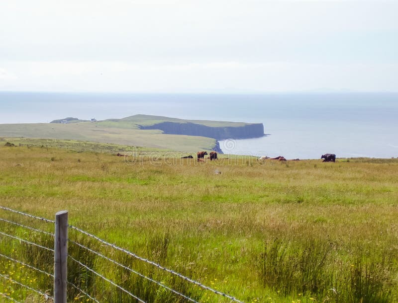 Scotland coastline nature stock image. Image of kingdom - 90656773