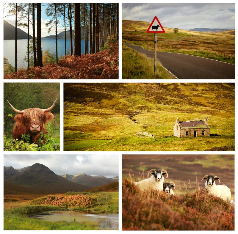 Scotland collage stock photo. Image of landscape, autumn - 44260494