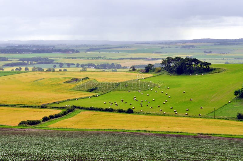 Scotland countryside stock image. Image of farm, hill - 20500839