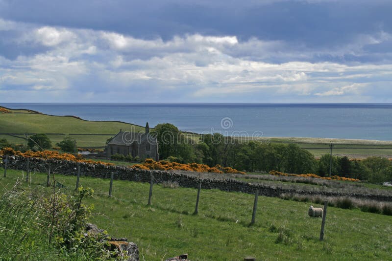 Scotland landscape stock image. Image of north, sheep - 9148141