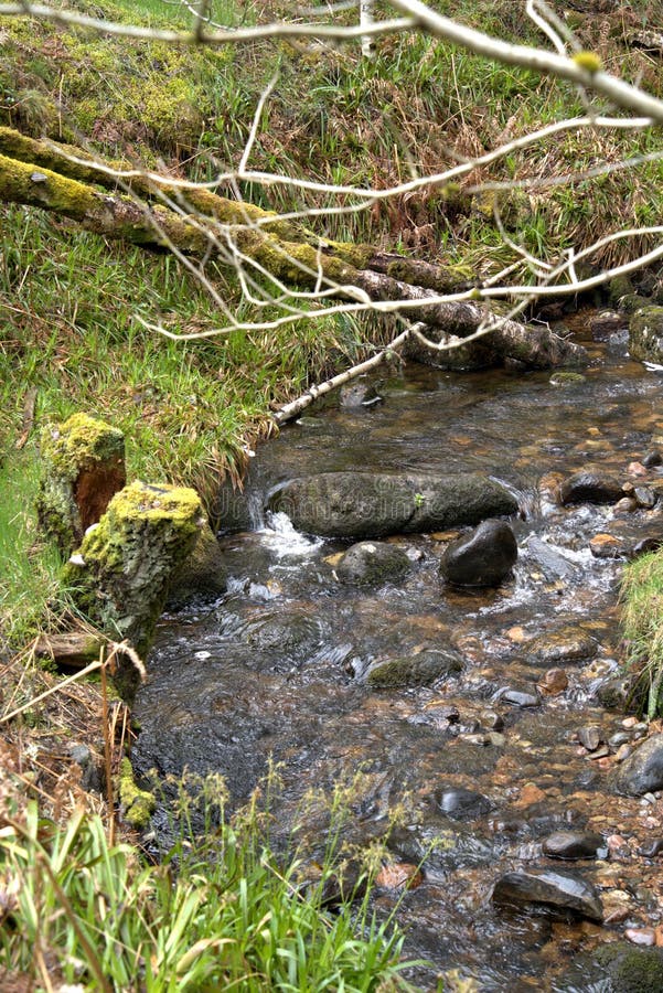 Scotland Landscape stock photo. Image of mossy, scenic - 292448854