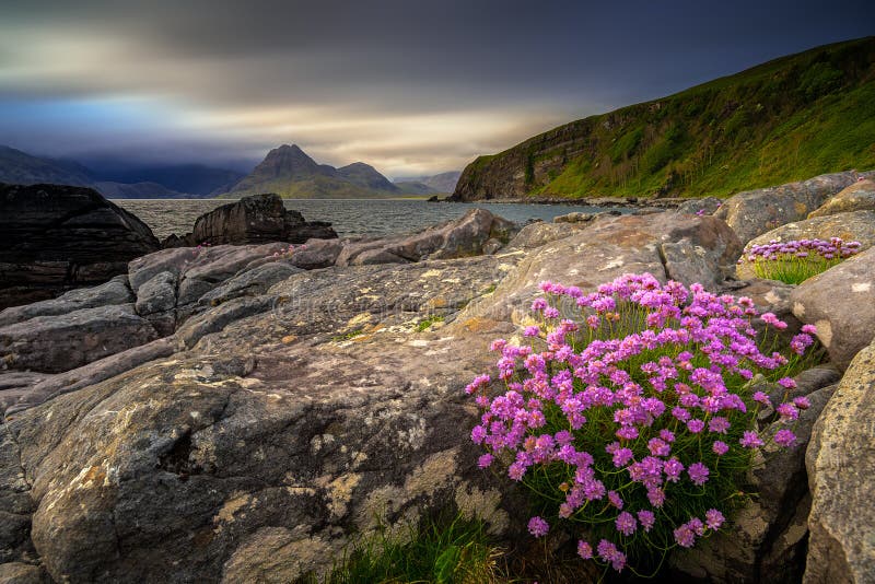 Scotland Sea Shore in Summer Time with Wave and Blue Sky, Landscape ...
