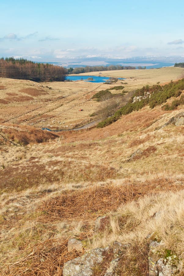 Scottish spring nature stock image. Image of kingdom - 29630975