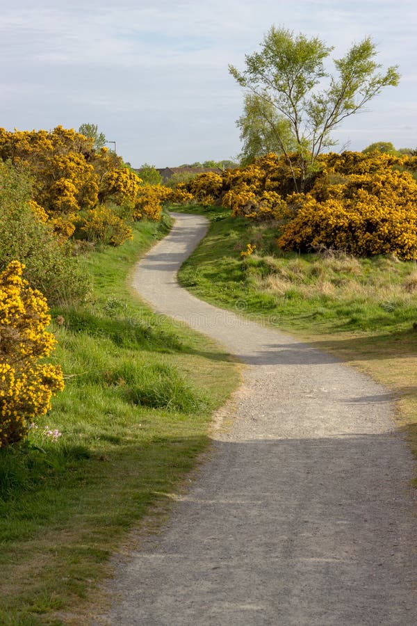 Scotstown Moor in Aberdeen, Scotland Stock Image - Image of united ...