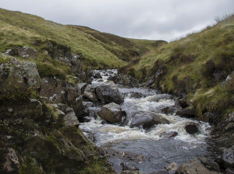A Scottish Burn or Stream stock photo. Image of grass - 125918930