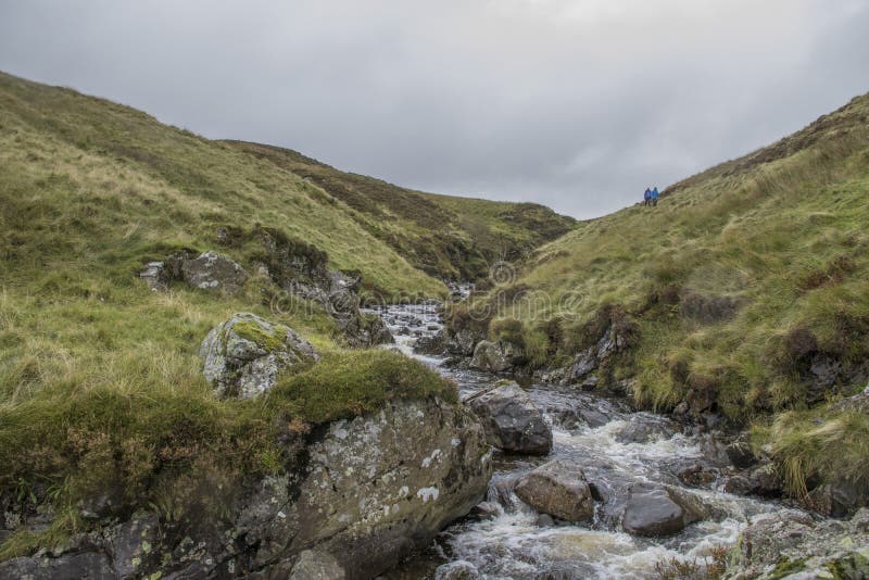 A Scottish Burn or Stream stock photo. Image of grass - 125918930