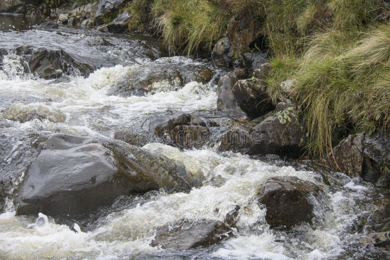 A Scottish Burn or Stream stock photo. Image of grass - 125918930