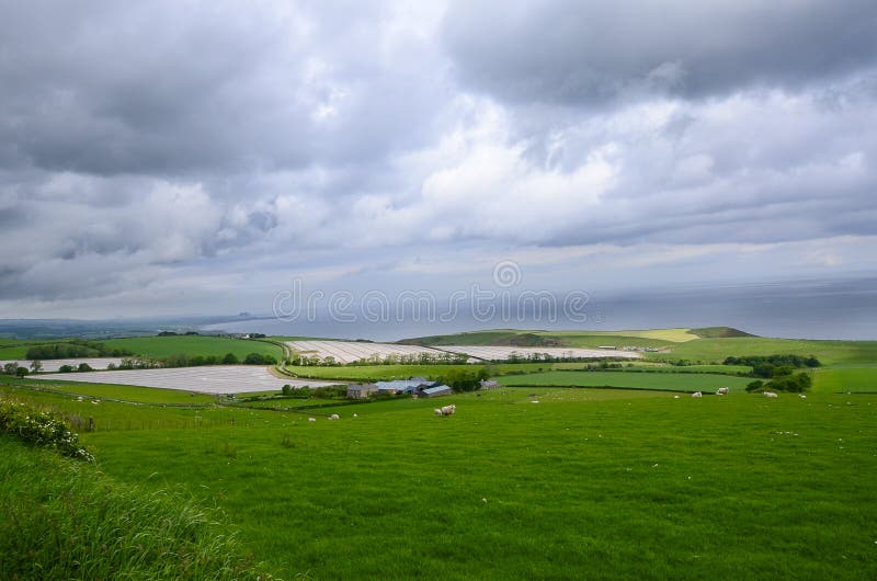 Scottish Countryside stock photo. Image of farm, scottish - 49343272