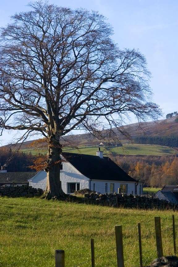 Scottish Farmhouse stock image. Image of grass, paddock - 1607681