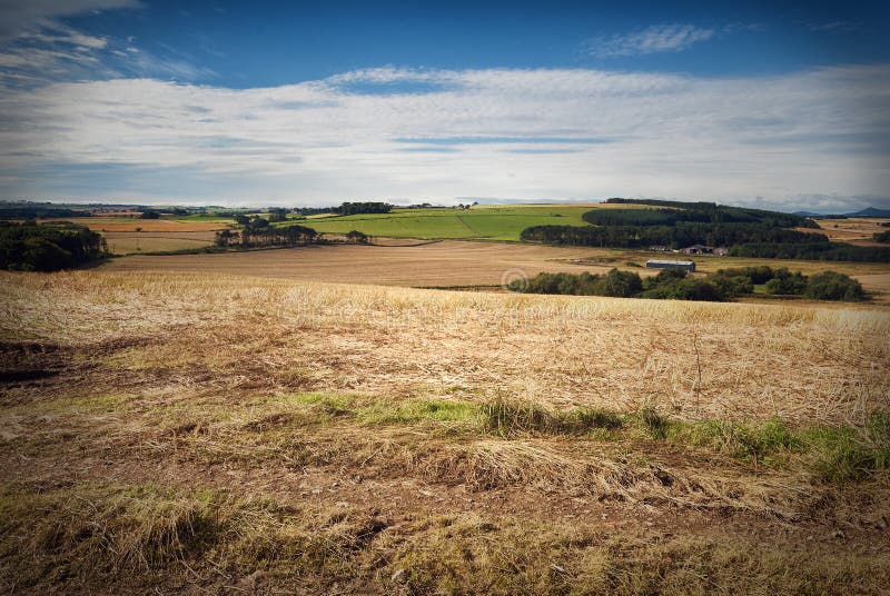 Scottish fields stock image. Image of nature, countryside - 105533099