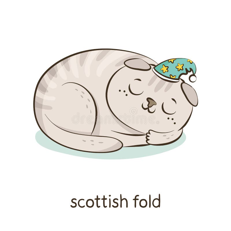 Scottish Fold. Cat Character on White Stock Vector - Illustration of ...
