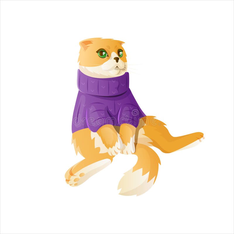 Scottish Fold Cat in Knitted Purple Jersey Stock Illustration ...