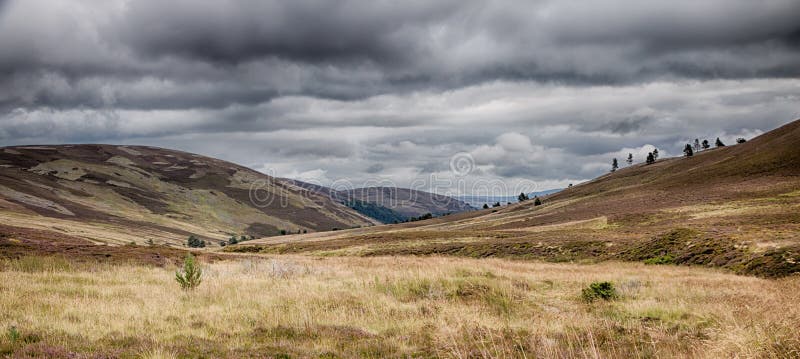 Scottish Heath and Lake in the Outskirts of Inverness in Summer Stock ...