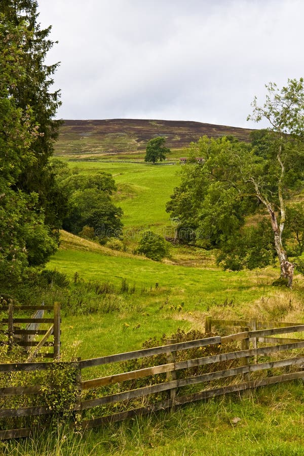 Scottish lowlands stock photo. Image of perthshire, fence - 21895326