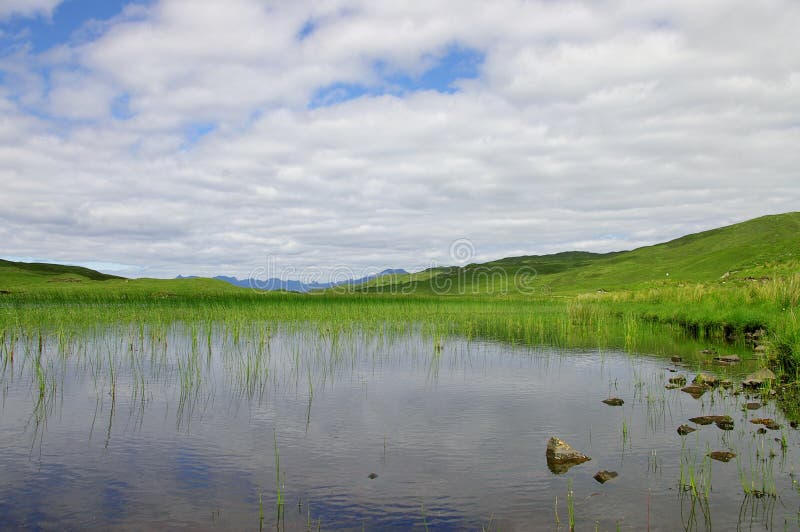 A scottish marsh stock image. Image of loch, highlands - 1004511