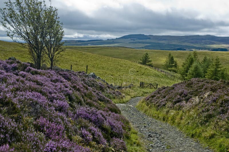 Scottish Scene stock image. Image of cloud, ramble, hike - 5454815