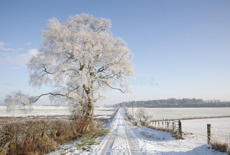 Scottish snow scene stock photo. Image of backroads, december - 27825476